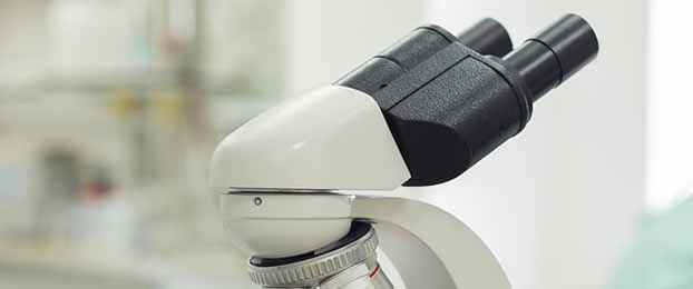 Employee Drug Testing: Are Your Marijuana Use Policies a Risk? | SPARK ...