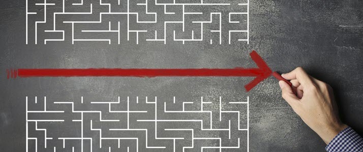 Employee Engagement Insight: The Power of the Default Option | SPARK ...