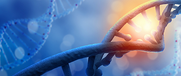 Genetic Information Discrimination: What HR Leaders Must Know | SPARK ...