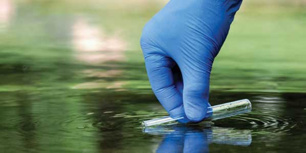 Chempack and Environmental: Saving the earth without leaving the city