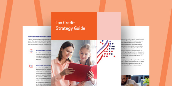 Tax Credit Strategy Guide